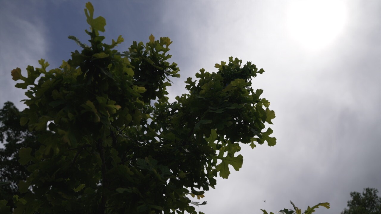 Forecasts say it's going to be a hot summer | HCA HealthONE